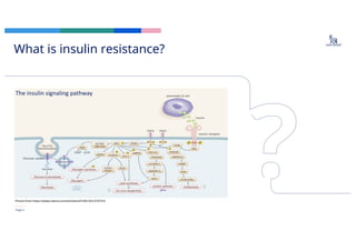 Identification of insulin-resistance genes with Knowledge Graphs ...