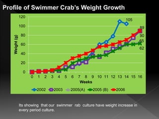 swimmer crab culture in the pond | PPTX