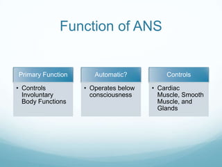 The Autonomic Nervous System and Yoga | PPTX