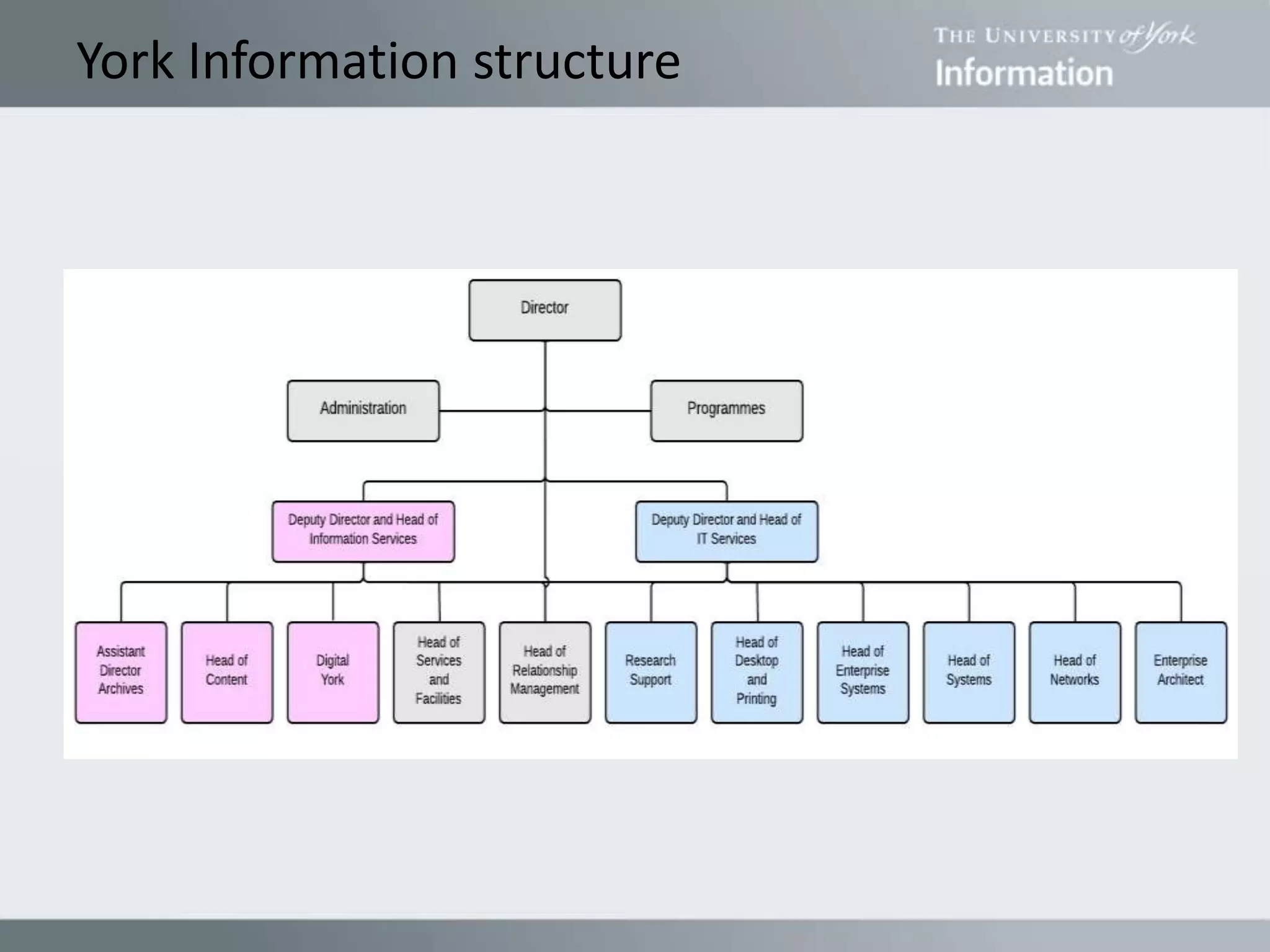 Dynamic approaches to value | PPT