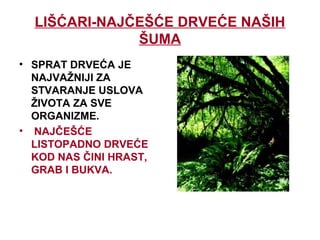 Lišćarske listopadne šume | PPT