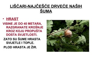 Lišćarske listopadne šume | PPT