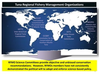 Oceans Under Threat: Charting a Sustainable Future | PPT