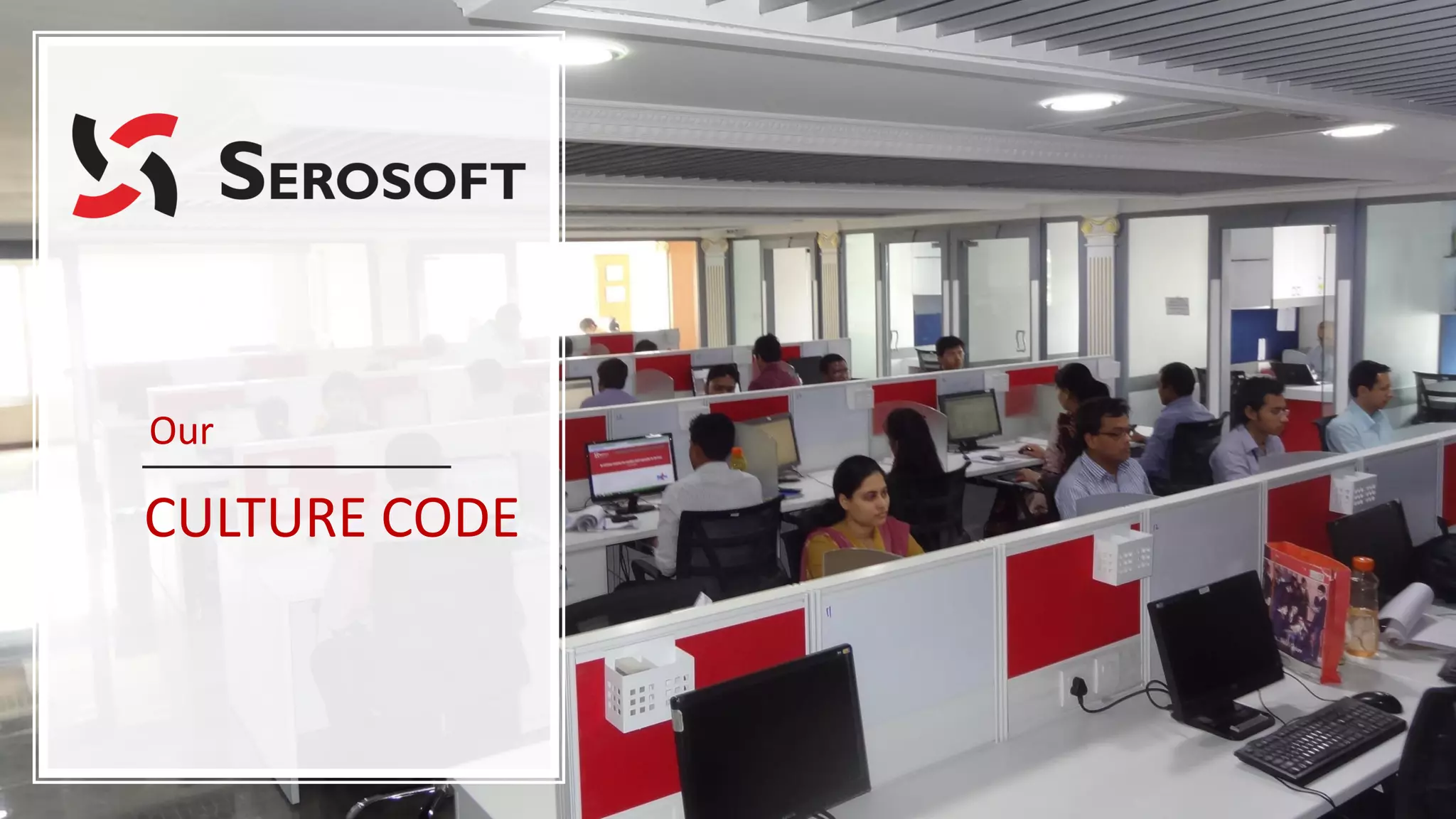 Serosoft Culture Code | PDF | Business and Finance