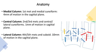 AJM Sheet: Lisfranc Trauma | PPTX