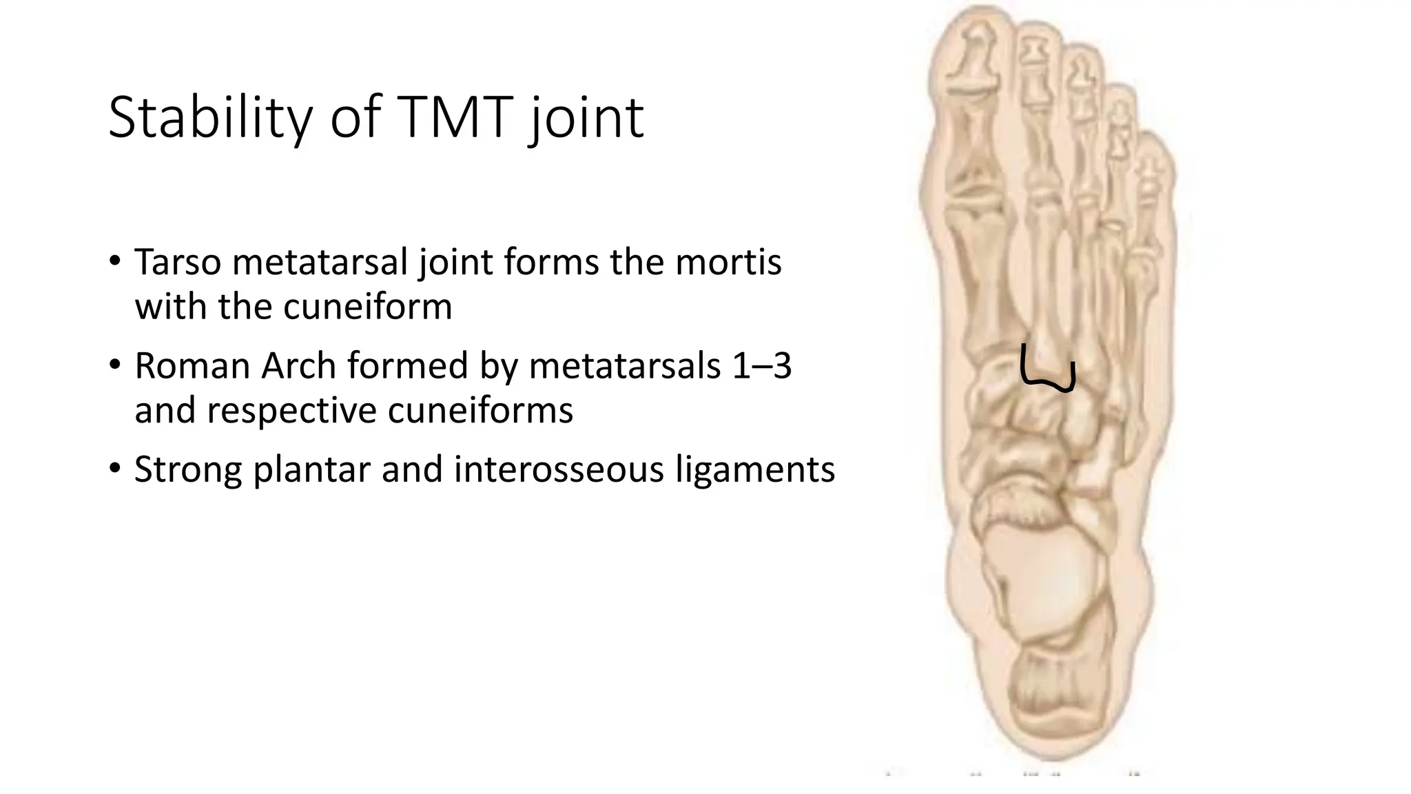 Lisfranc and Forefoot fracture in adult.pptx