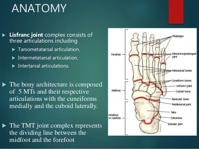 Lisfranc injury