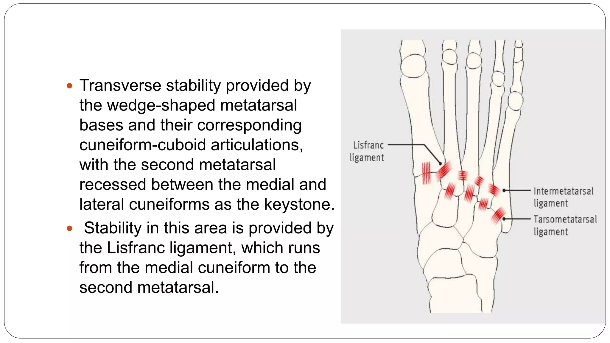 Lisfranc injury | PPTX