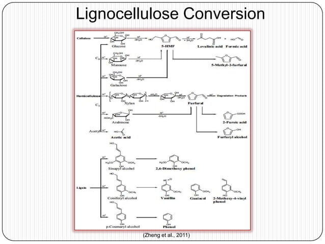 Lignin Depolymerization and Conversion Utilizing Catalytic Hydrogenolysis | PPTX