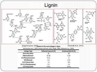 Lignin Depolymerization and Conversion Utilizing Catalytic Hydrogenolysis | PPTX
