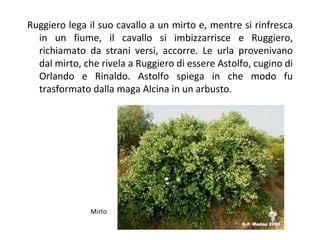 L Isola Di Alcina | PPT