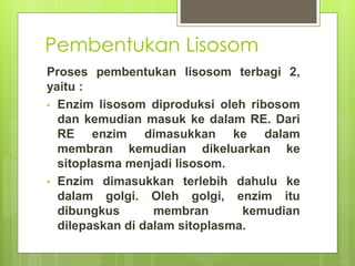 Lisosom | PPTX