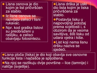 List - biljni organi, dijelovi biljke.pptx