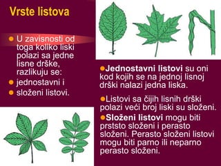 List - biljni organi, dijelovi biljke.pptx