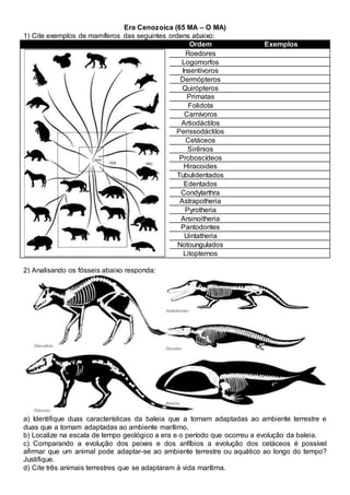 Lista de exercícios de geologia e paleontologia | DOCX