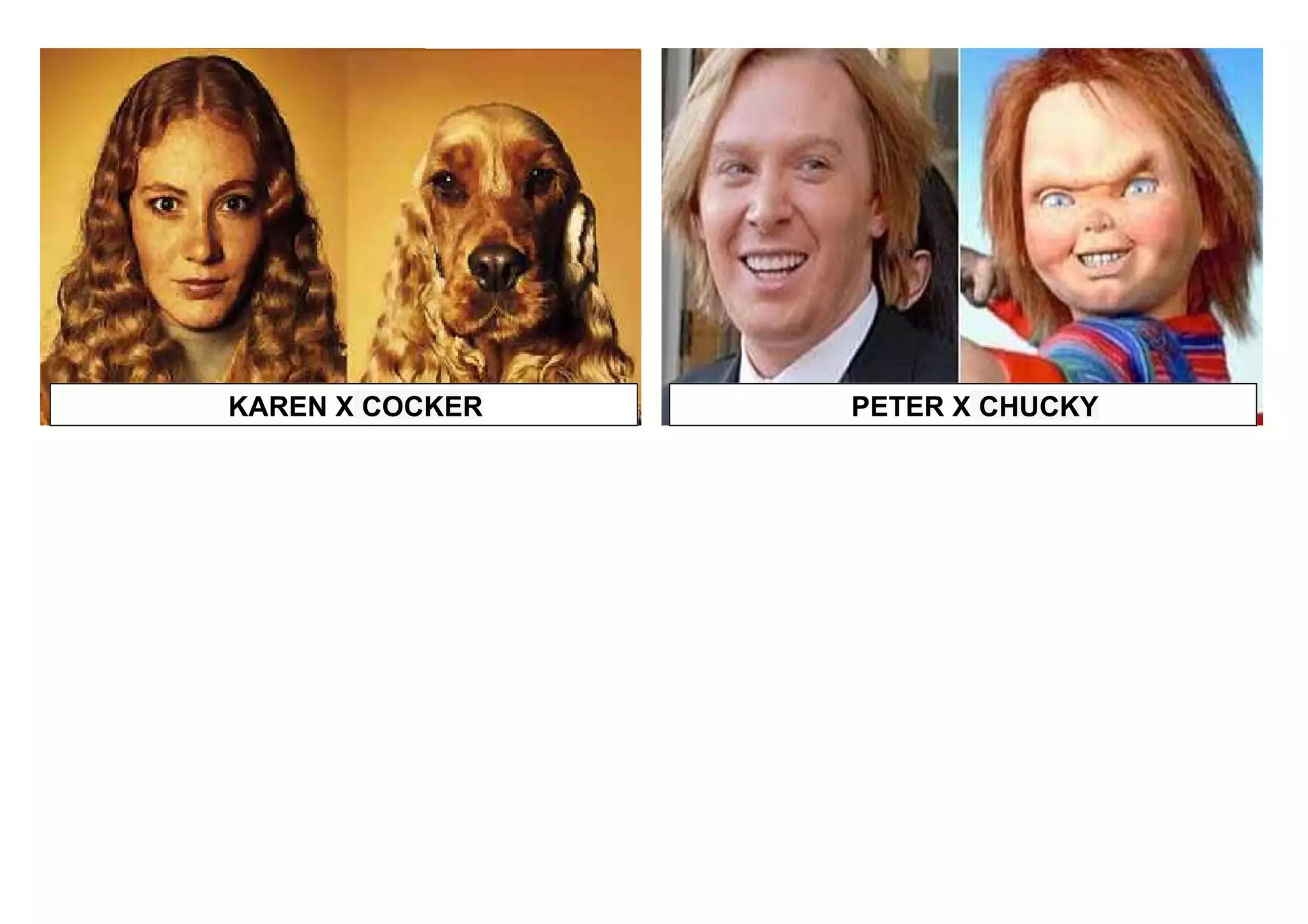 Funny Comparisons | DOC