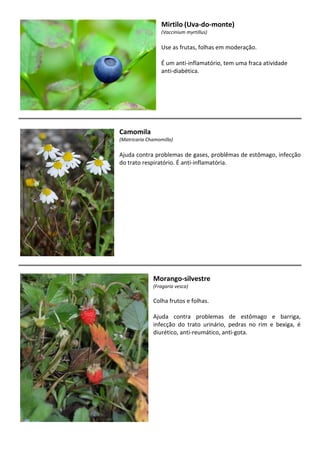 Lista de plantas e ervas comestíveis | PDF
