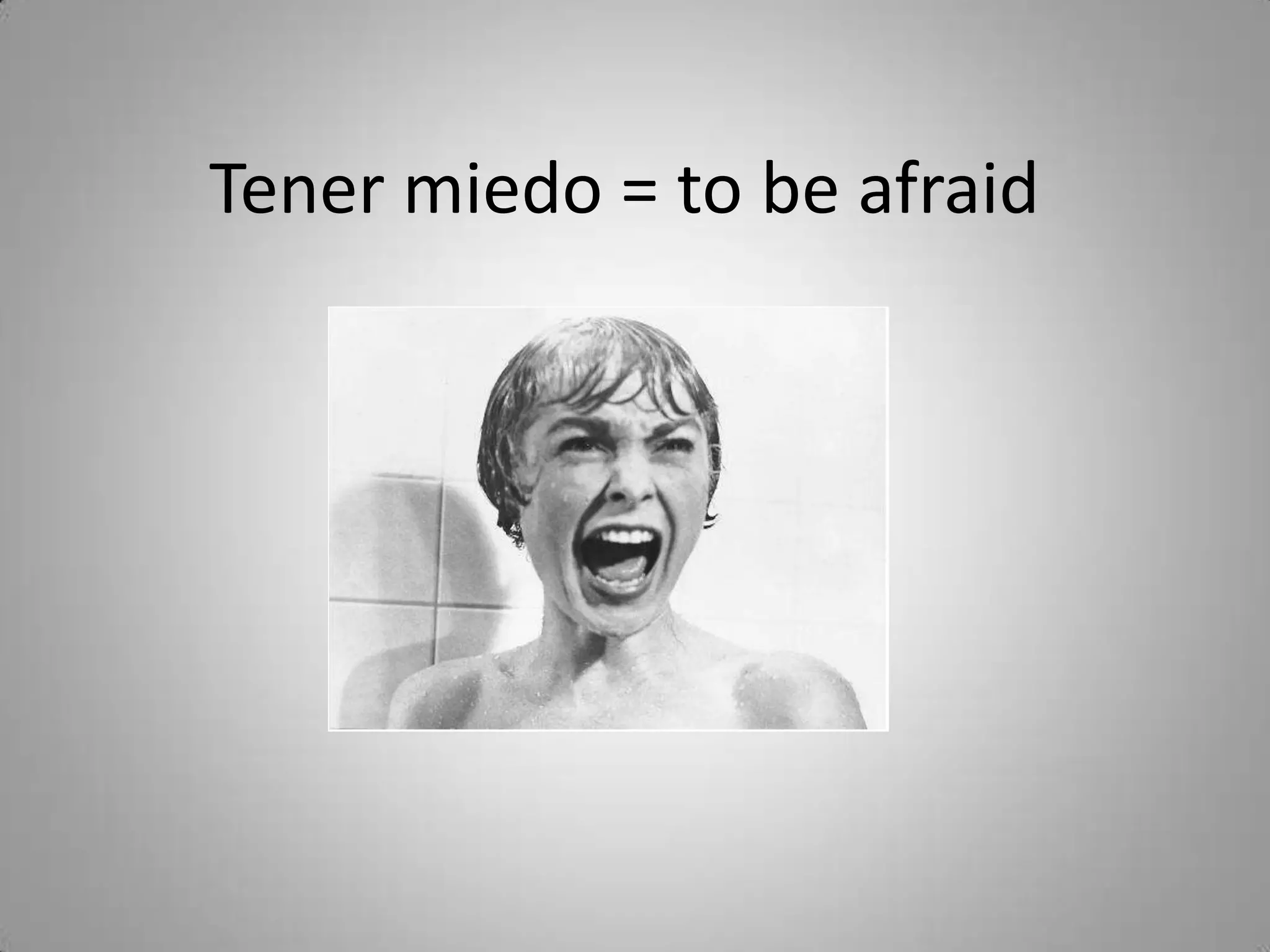 Lista de vocabulario 7b | PPT