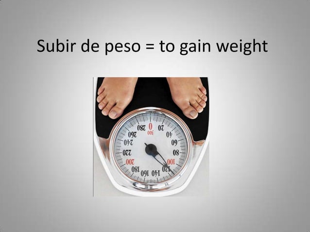 Lista de vocabulario 7b | PPT