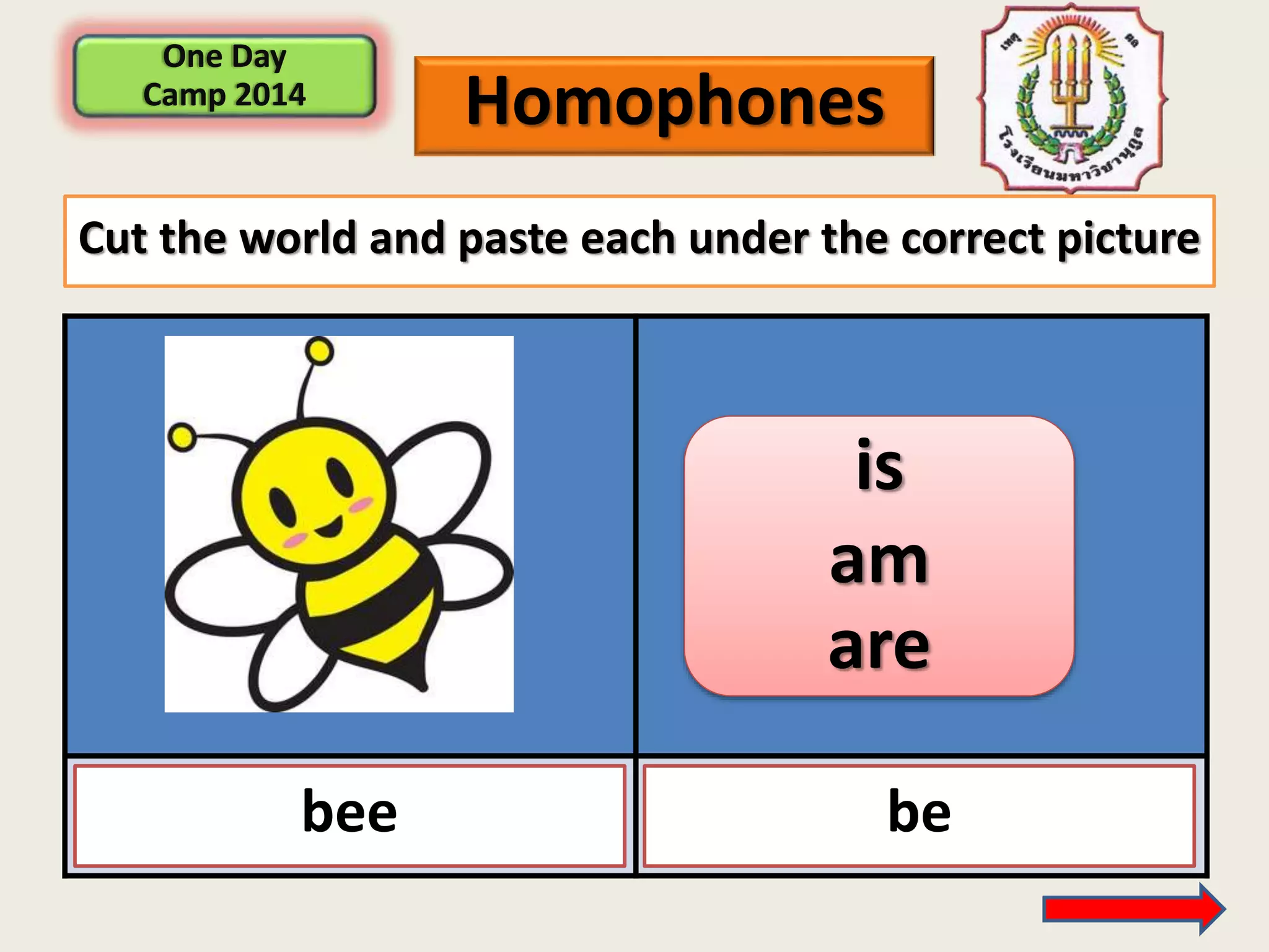 Homophones | PPT