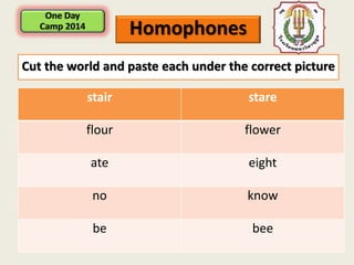Homophones | PPT