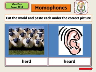 Homophones | PPT | Free Download