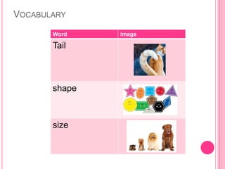 Listening Animal Tails | PPTX