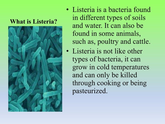 Listeria | PPTX | Diseases and Conditions | Medical Health