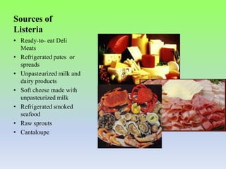 Listeria | PPTX