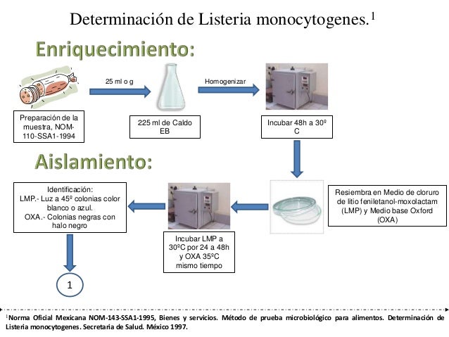 Listeria