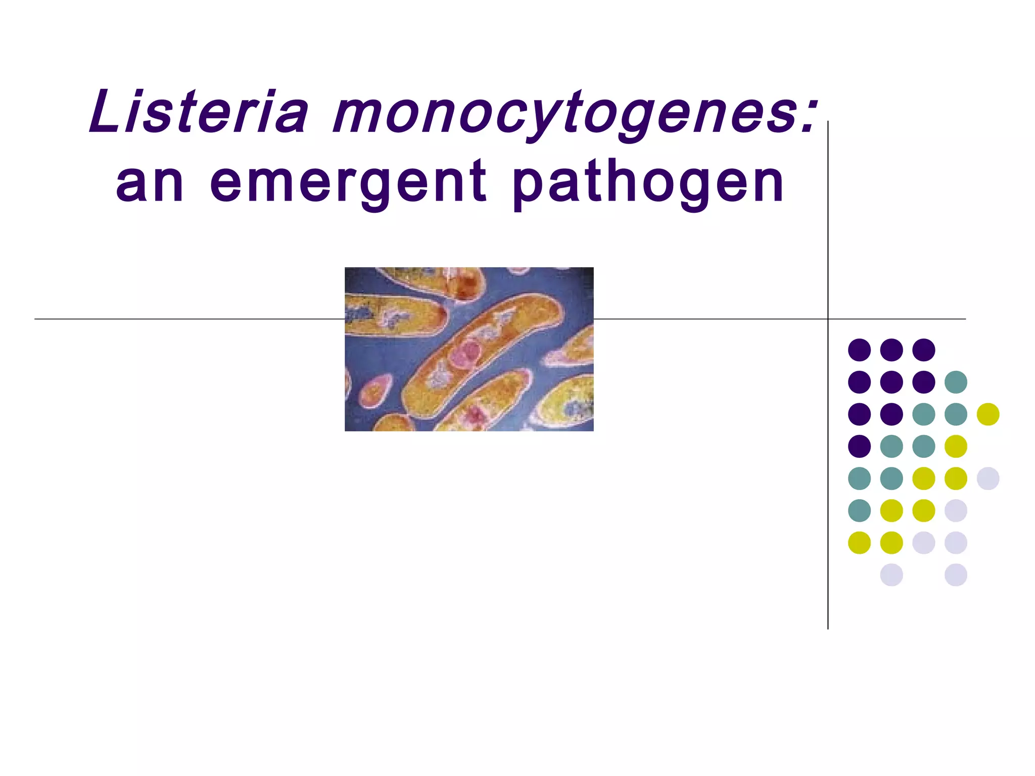 Listeria | PPT