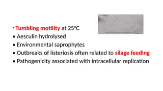 Listeriosis in animals- diagnosis, prevention and control | PPTX