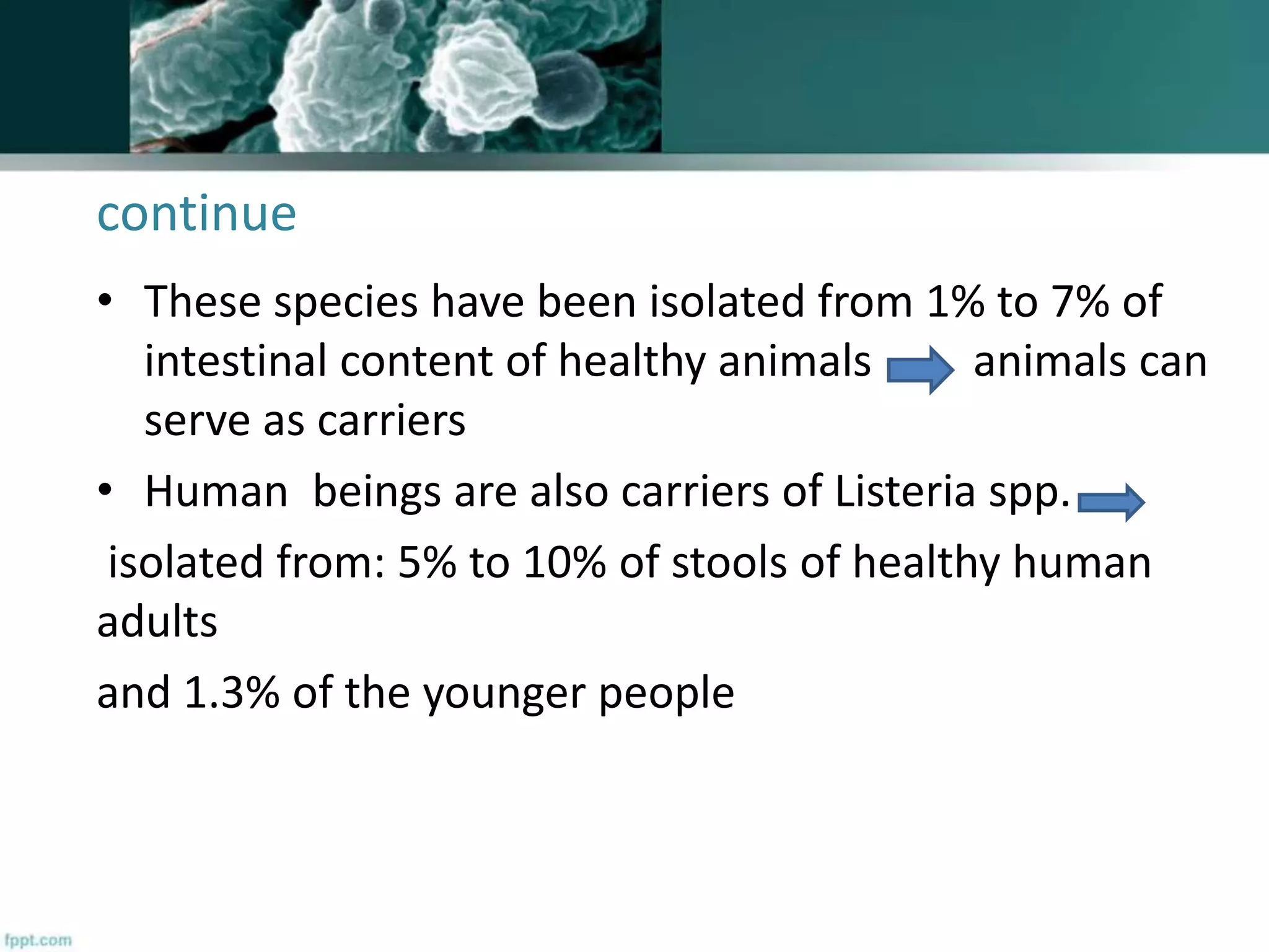 listeria food borne.pptx