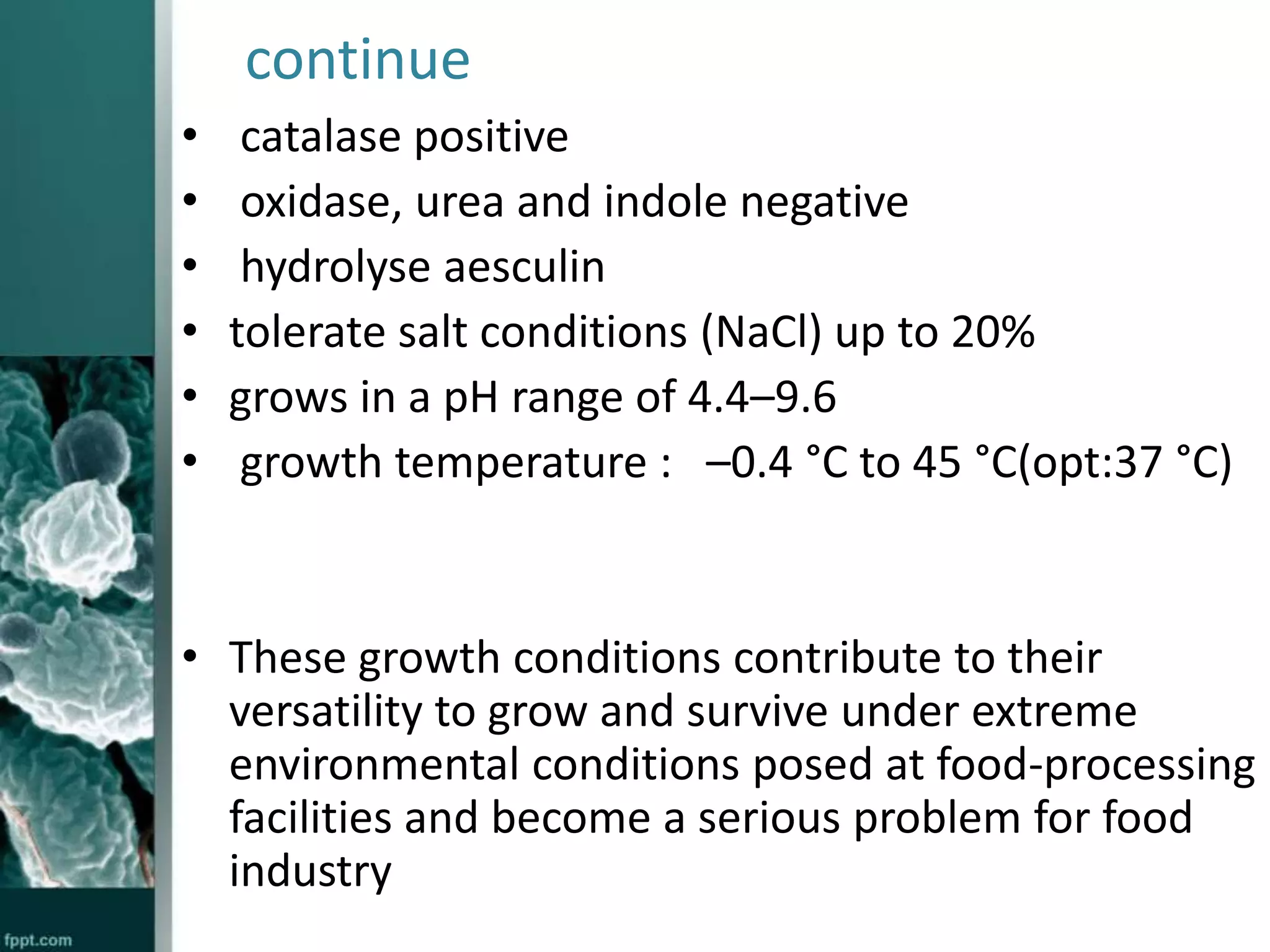 listeria food borne.pptx