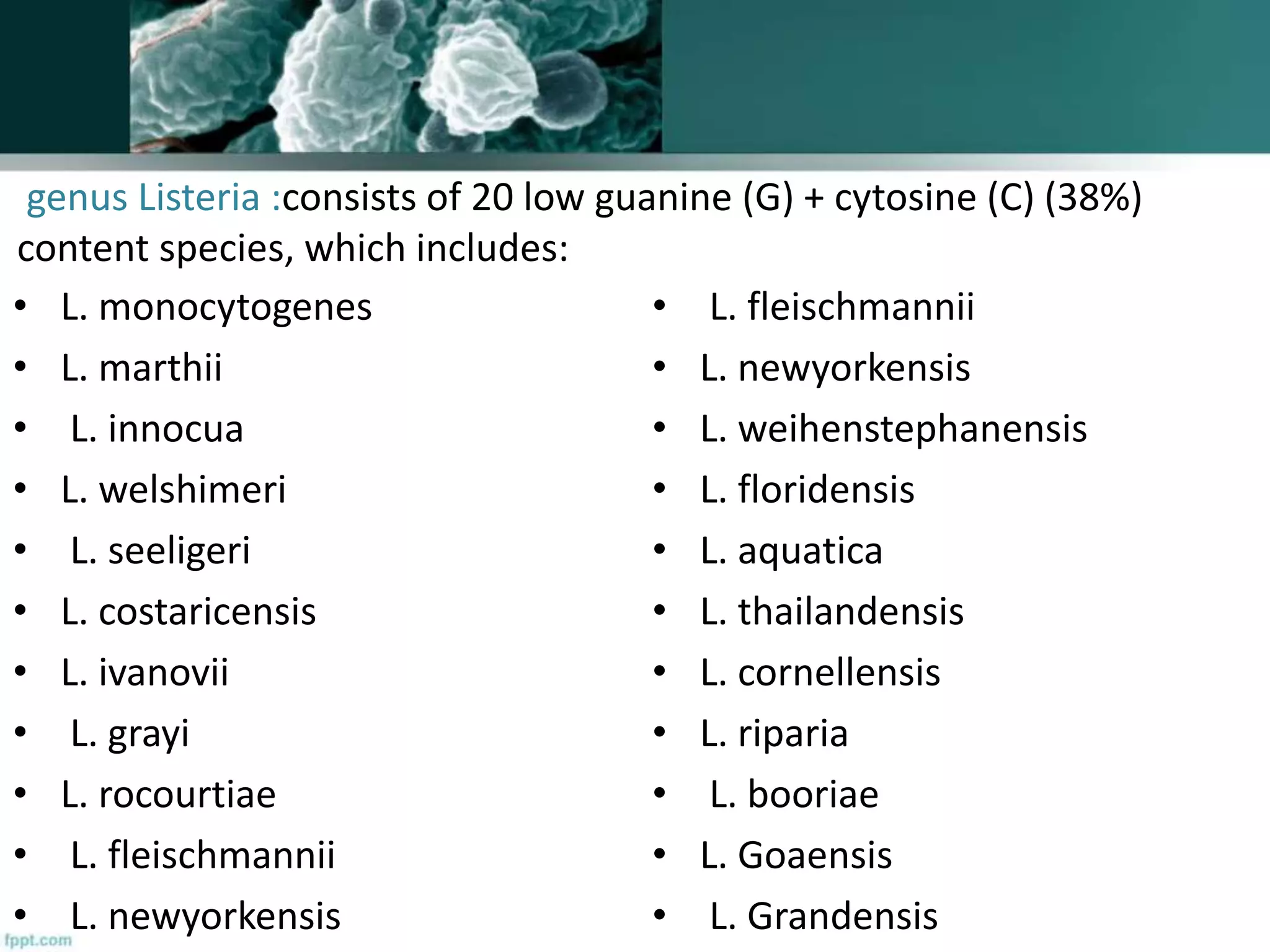listeria food borne.pptx