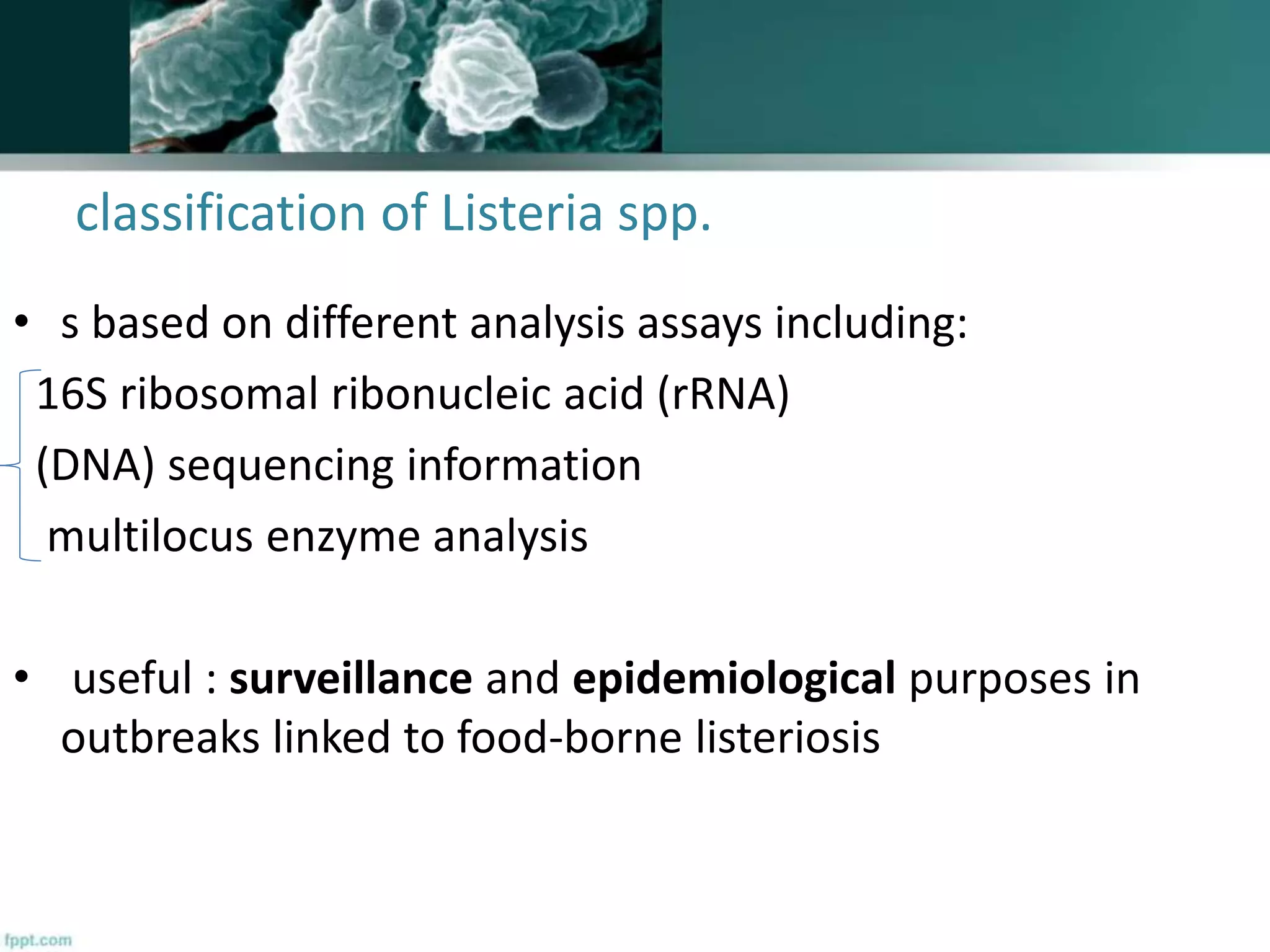 listeria food borne.pptx