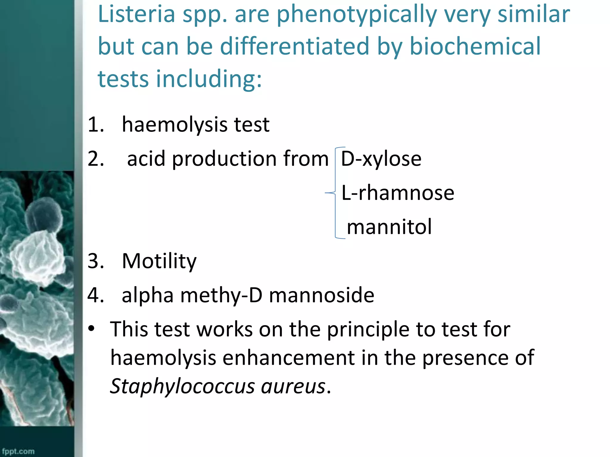 listeria food borne.pptx
