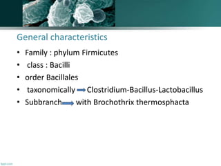 listeria food borne.pptx