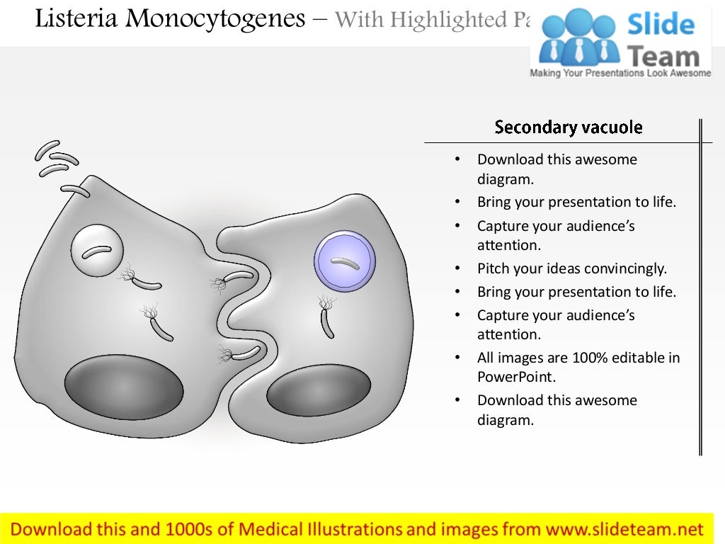 Listeria Monocytogenes
