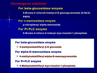 Listeria monocytogens Mandeep Balhara | PPT