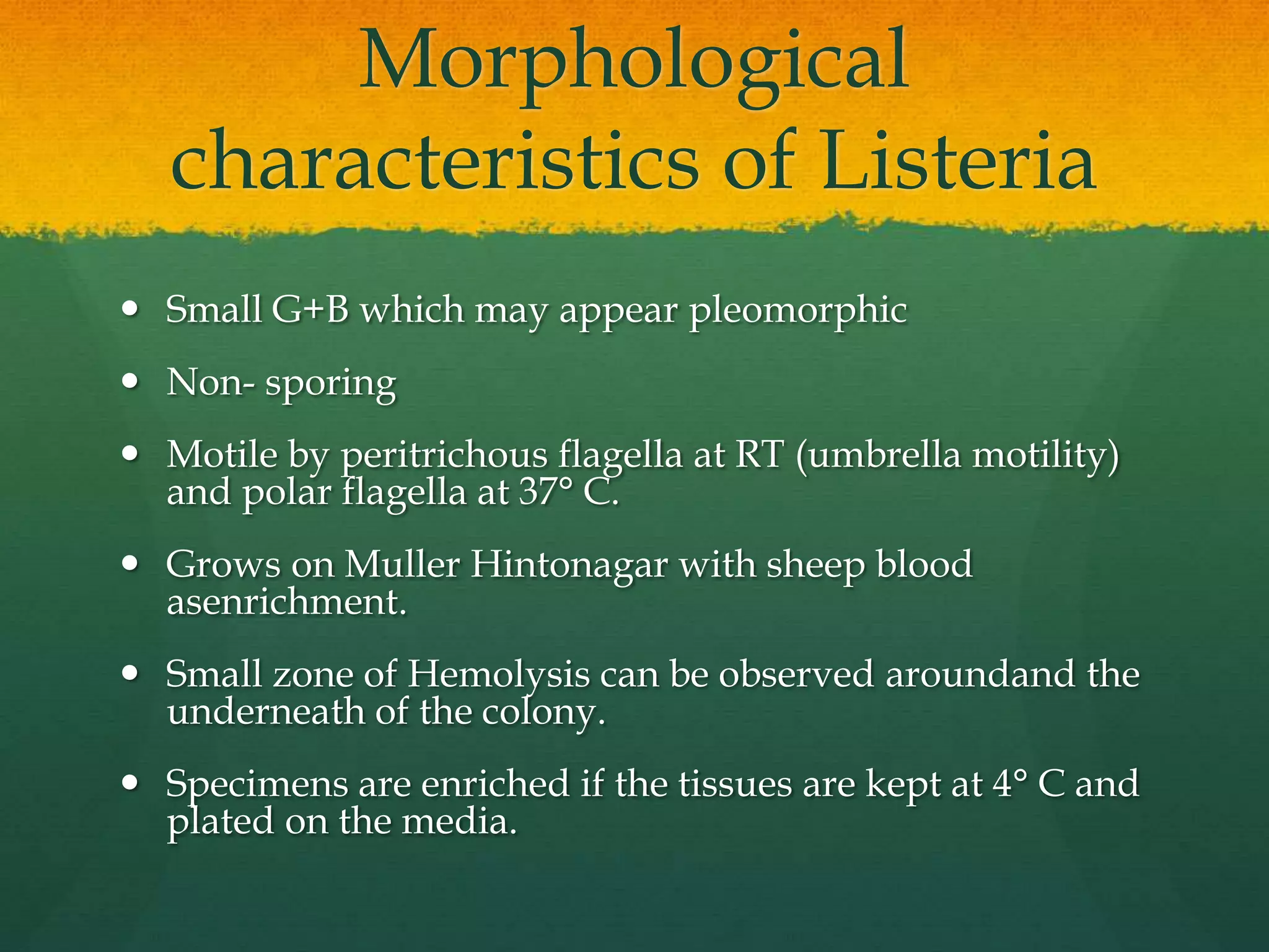 Listeria monocytognes | PPTX