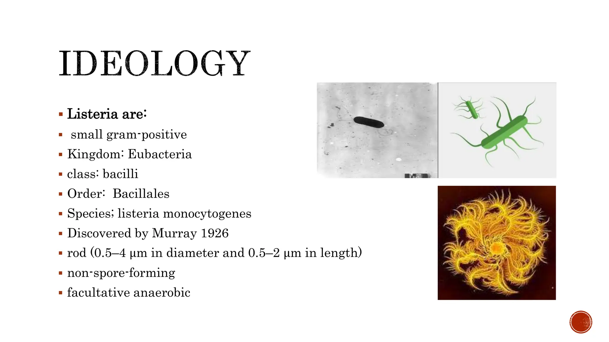 Listeriosis causing Food-borne infection | PPTX