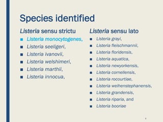 Listeria species | PDF