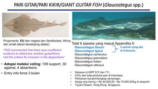 Lagi, 2 Jenis Hiu Mako, 7 Jenis Pari, dan Teripang Telah Masuk Daftar ...