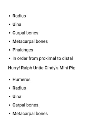 List | PDF