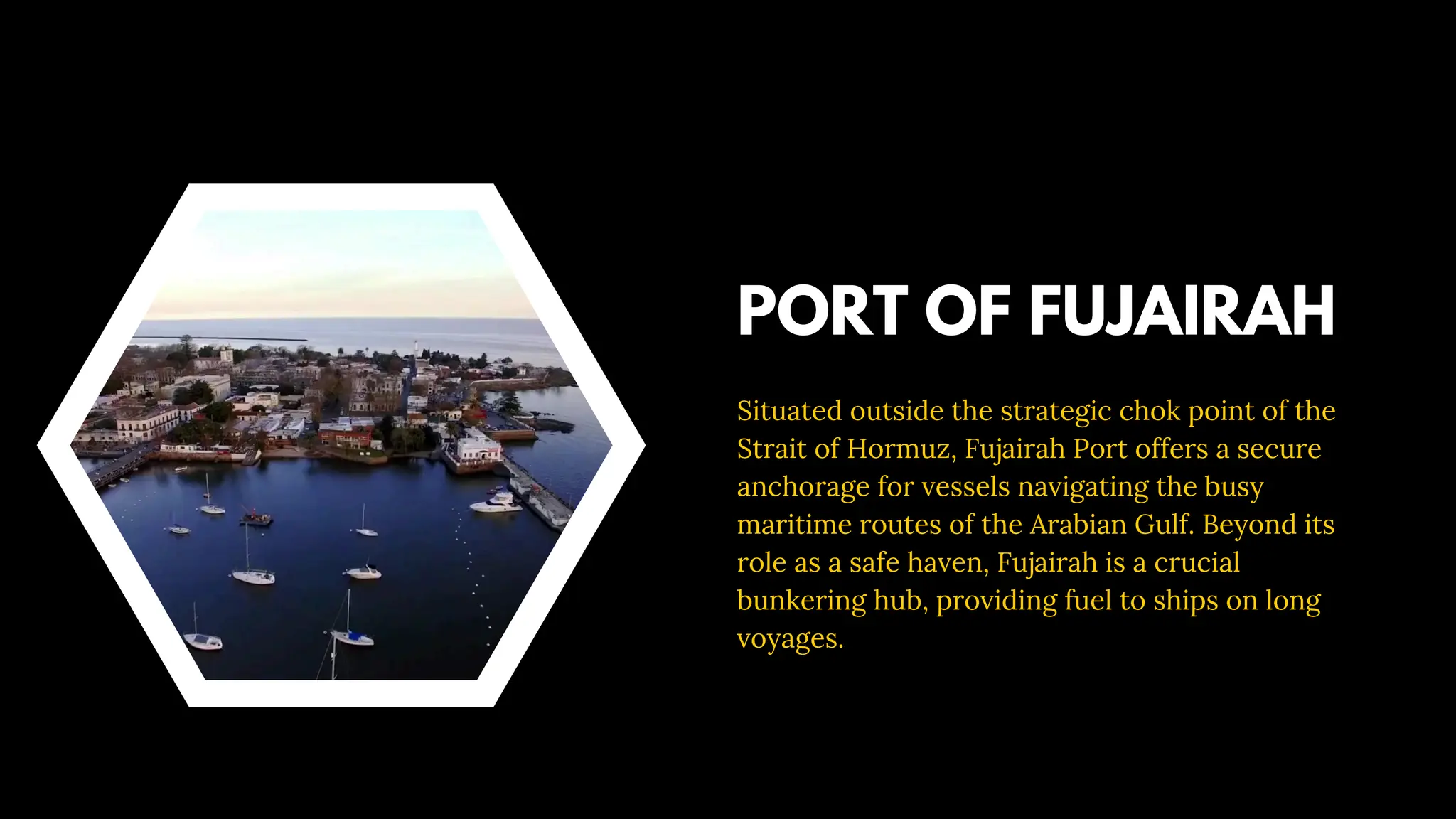 List Of Major Ports In Dubai And The United Arab Emirates.pdf