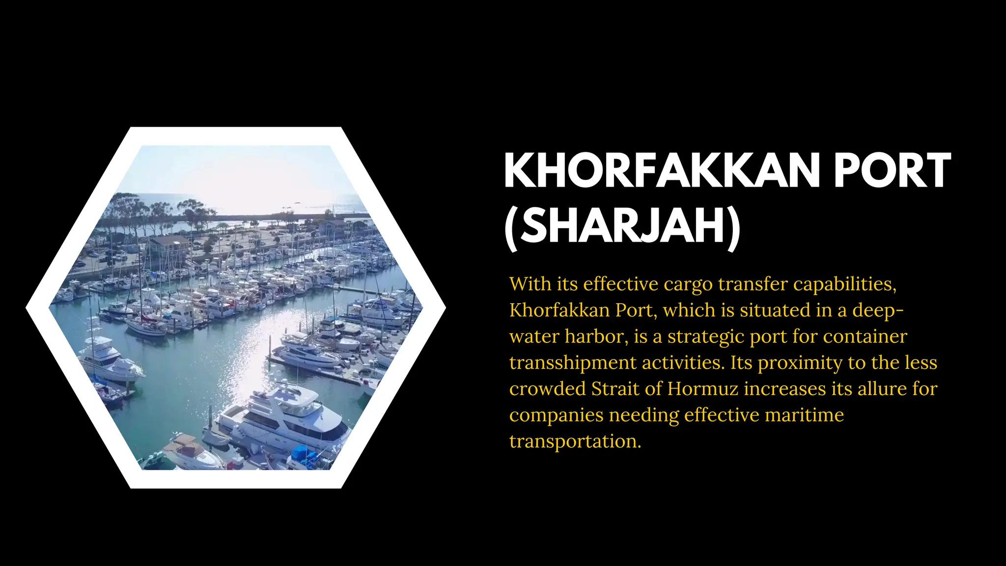 List Of Major Ports In Dubai And The United Arab Emirates.pdf