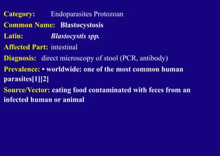 List of Human Paraste for studying malaria.pptx