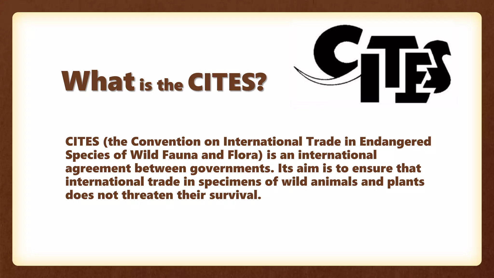 CITES | PPTX