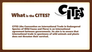 CITES | PPTX